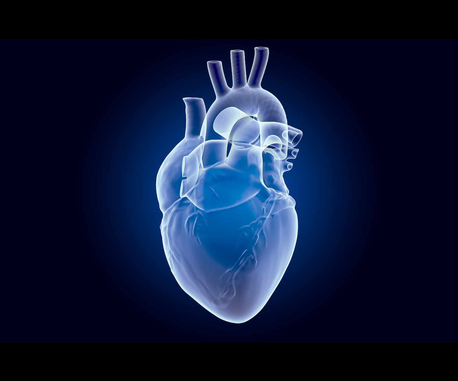 Cardiology | Cardio Command